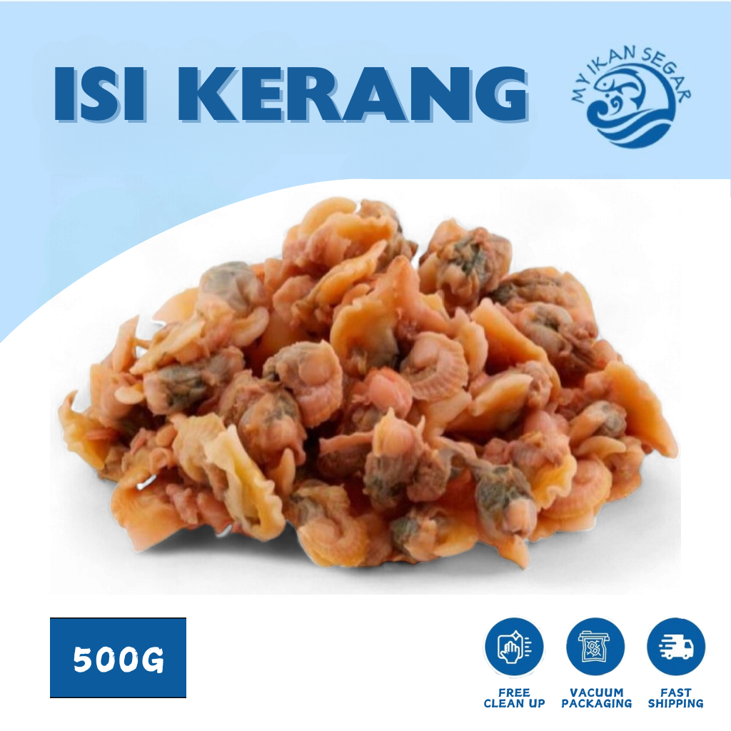 ISI KERANG ISI KERANG FROZEN FOOD KERANG SEAFOOD FROZEN | Shopee Malaysia