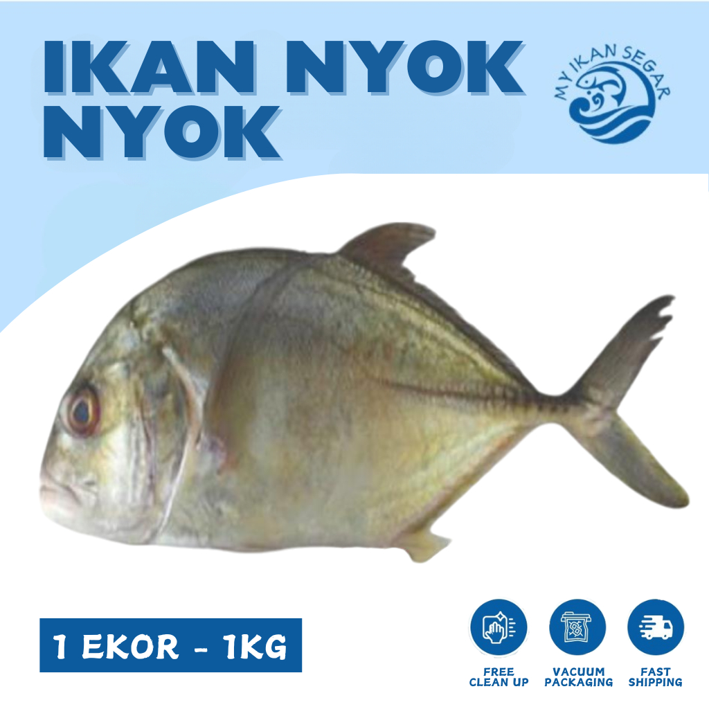 IKAN NYOK NYOK 1 EKOR 1KG(SIAP SIANG & CUCI) IKAN NYOK NYOK FROZEN FOOD ...
