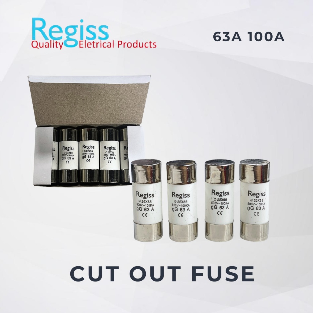 Regiss Cut Out Fuse 63A 22MMx58MM 100A 30MMx58MM C' (SMALL) | Shopee ...