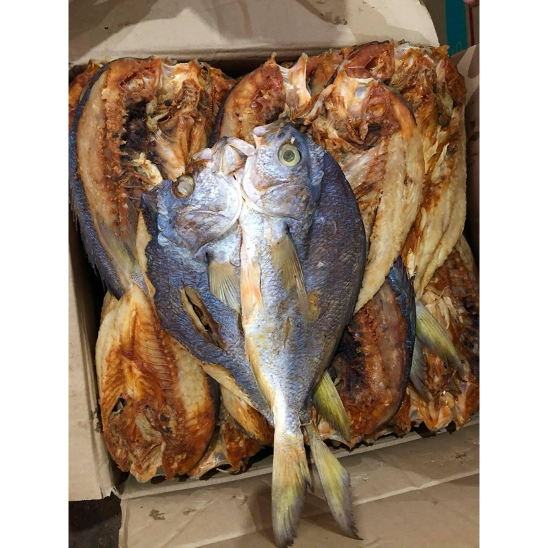 ikan masin Sulit saiz besar. Harga untuk 500g | Shopee Malaysia