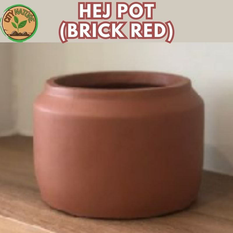 HEJ POT (BRICK RED) CERAMIC FLOWER POT 多肉花盆 植物花盆 花盆 陶瓷花盆 | Shopee Malaysia