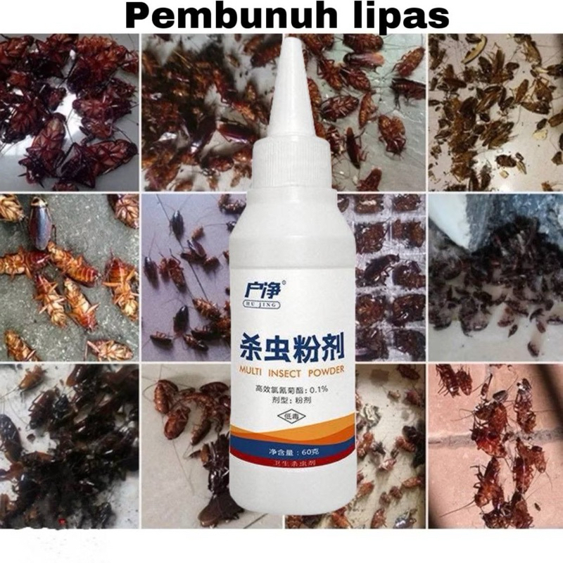 HU JING POWDER COCKROACH INSECTS KILLER serbuk pembunuh lipas serangga ...