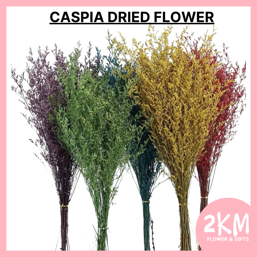 (60G) CASPIA Limonium Dried Dry Preserved Artificial Flower Bouquet ...