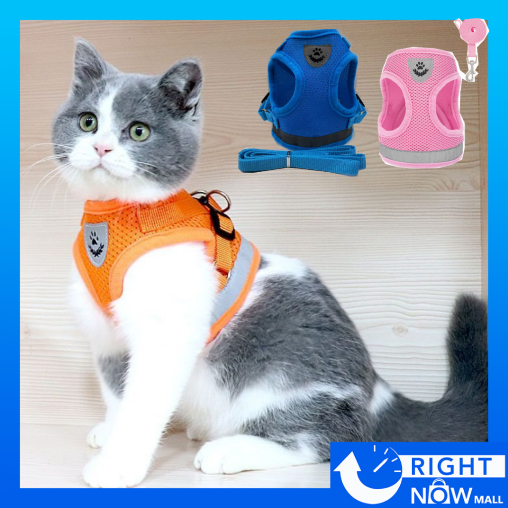 Rightnow🐾 Cat Pet Collar Harness Suede Vest with Leash Kolar Rantai ...
