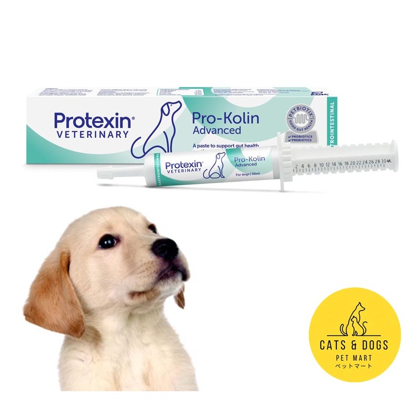 Pro-Kolin Advanced for Dogs- Advanced support for gastrointestinal ...