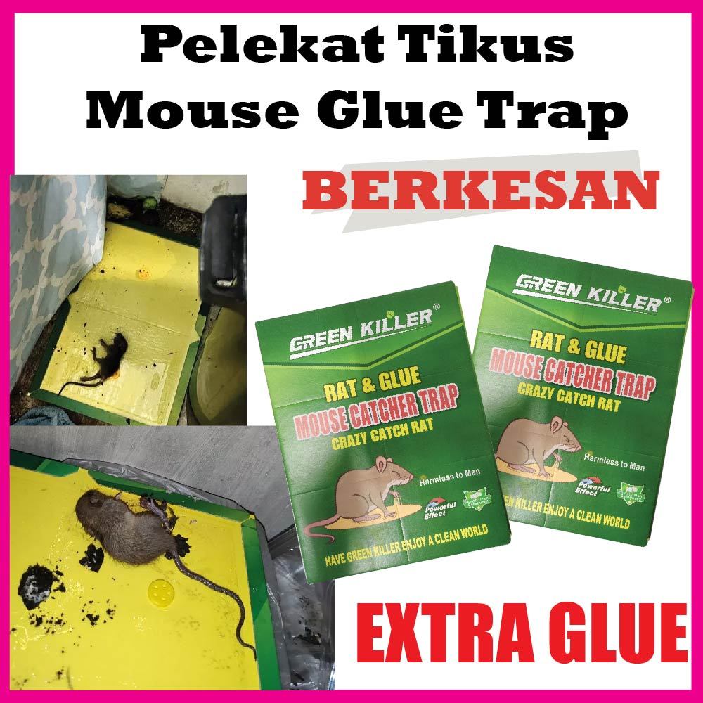Perangkap tikus pelekat Super Mouse Glue Trap Snake Bugs Rat Mice ...