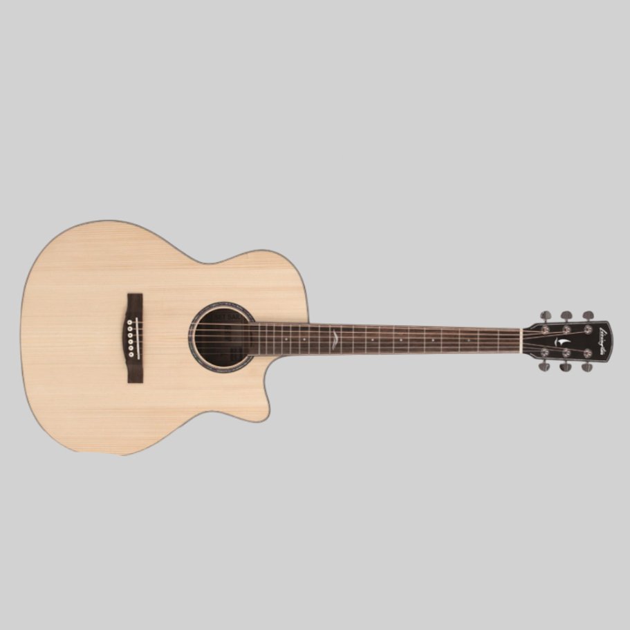 Livingston V1-M GA Body 41" Solid Sitka Spruce Acoustic Guitar ...