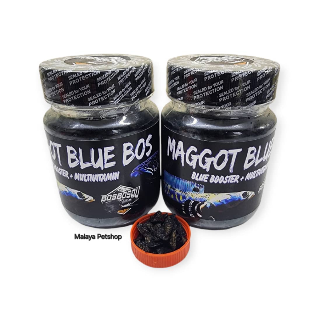 Maggot Blue Bos 40 gram (Maggot Blue Booster + Multivitamin)(Sesuai ...