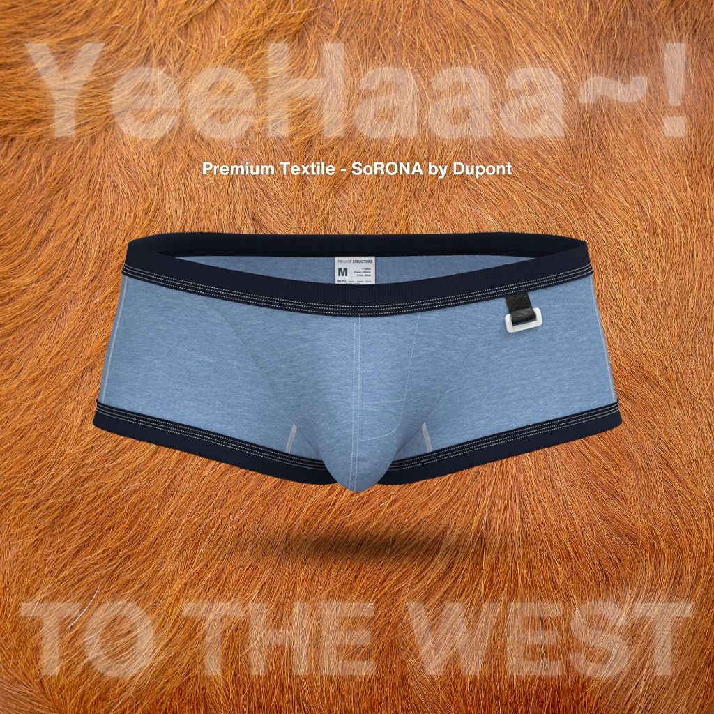 Private Structure Men Underwear Barn Boy Low Waist Trunk | Seluar Dalam ...