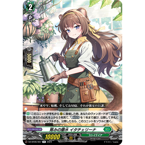 Cardfight Vanguard DZ-BT06/067 R Nurturing Watering, Itachelina (JP) | Shopee Malaysia