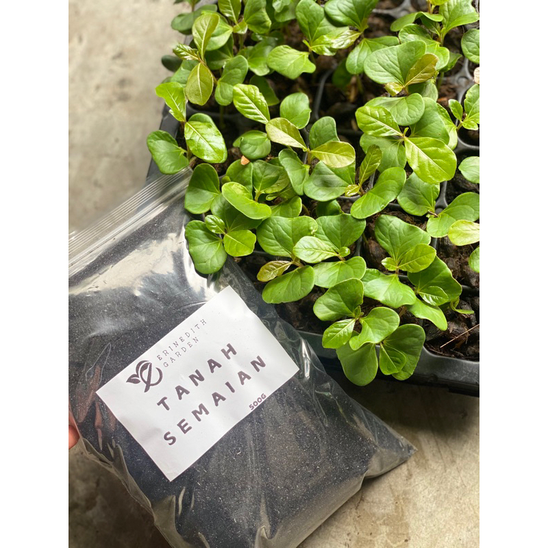 Tanah semaian 500g | peatmoss | medium tanah tanam benih | Shopee Malaysia