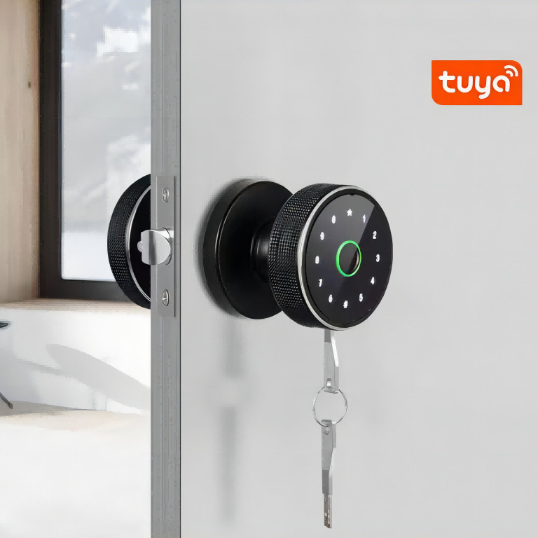 Tuya APP Fingerprint Door Lock Digital Keyboard Smart Card Combination ...