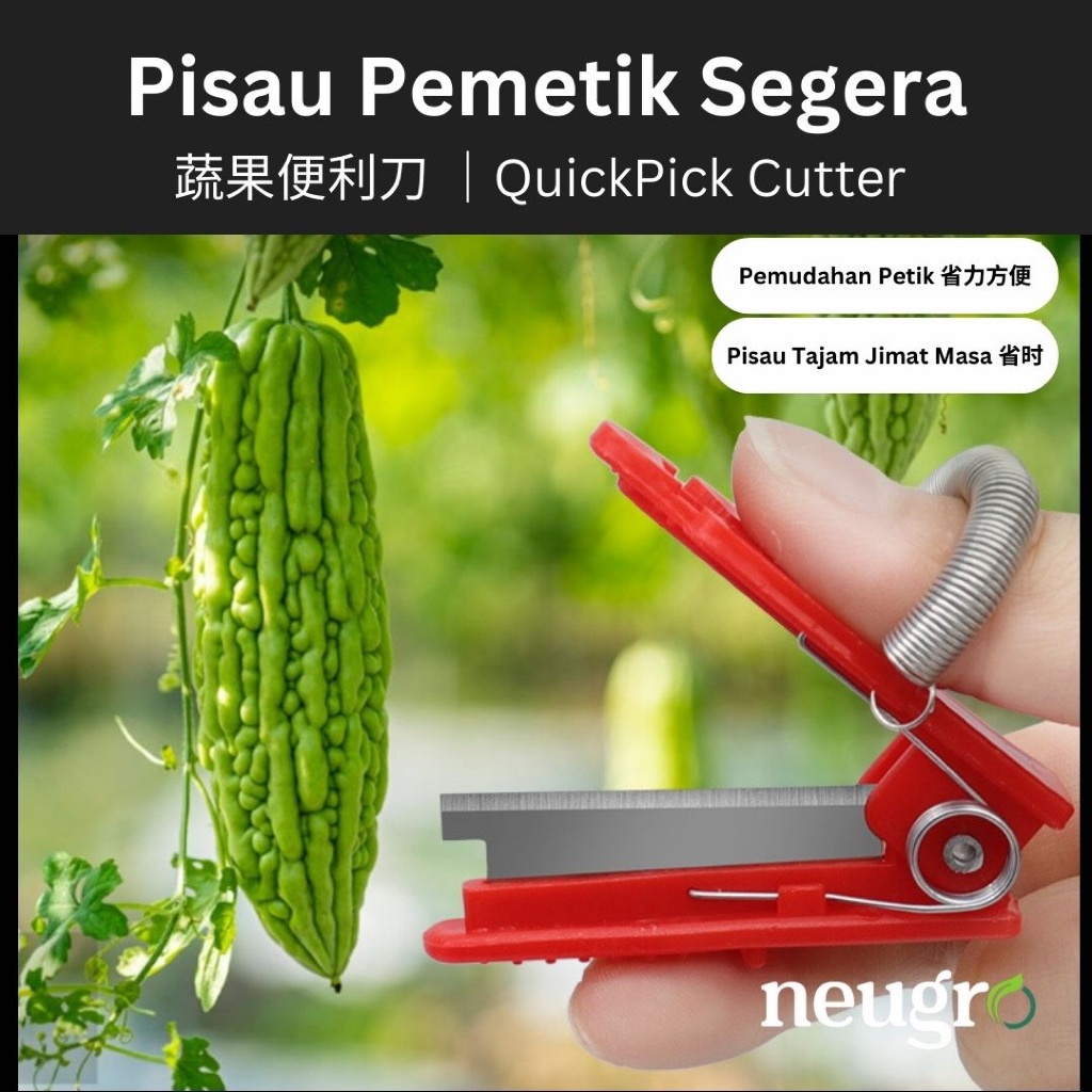 Pisau Jari Khas Untuk Petik Sayur / Buah Kebun Farm Garden Vegetable ...