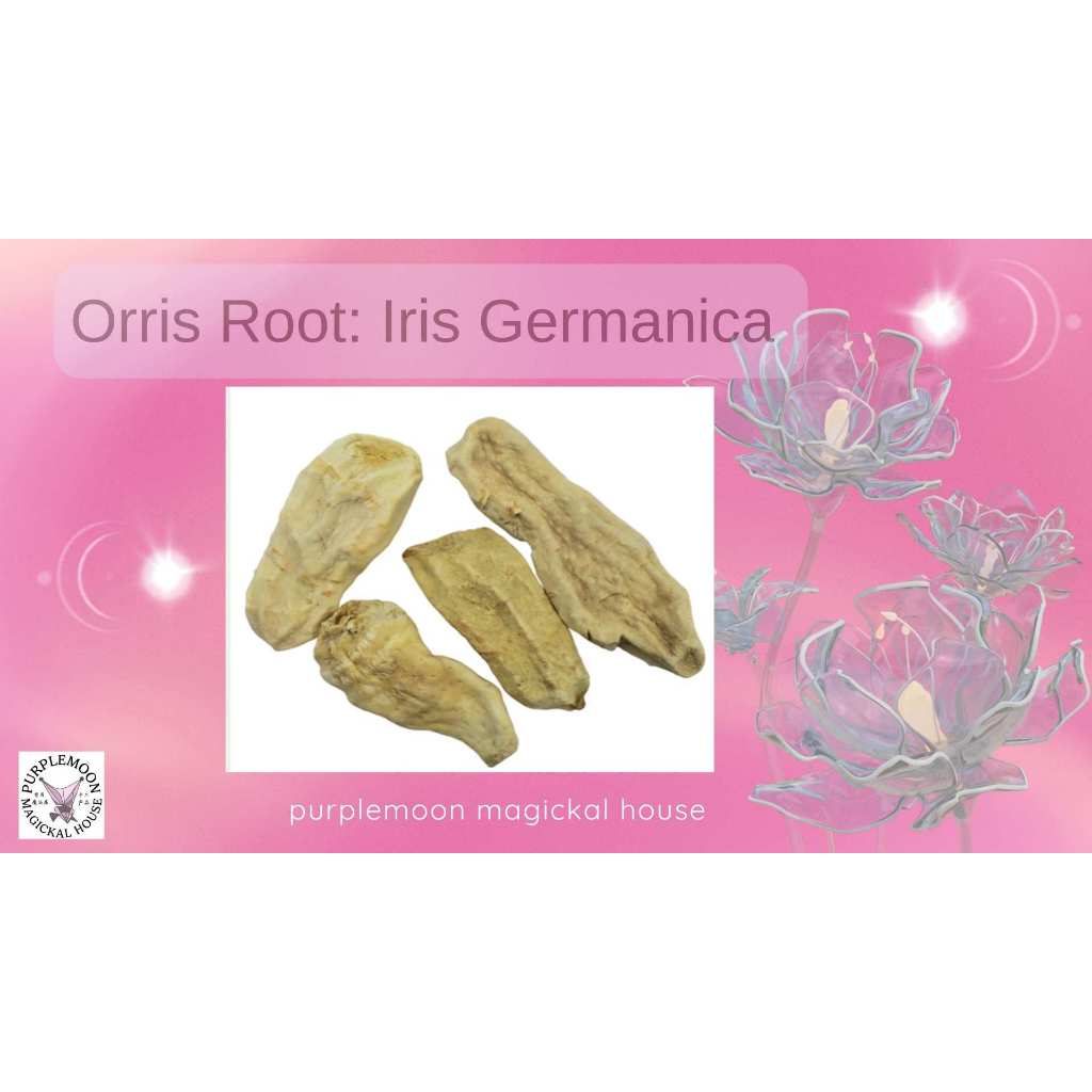 Orris root ( Iris Germanica Root)-Whole root 1 pcs per pack | Shopee ...
