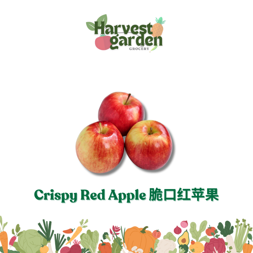 Crispy Red Apple (M) 脆口红苹果 3PCS/5PCS | Shopee Malaysia