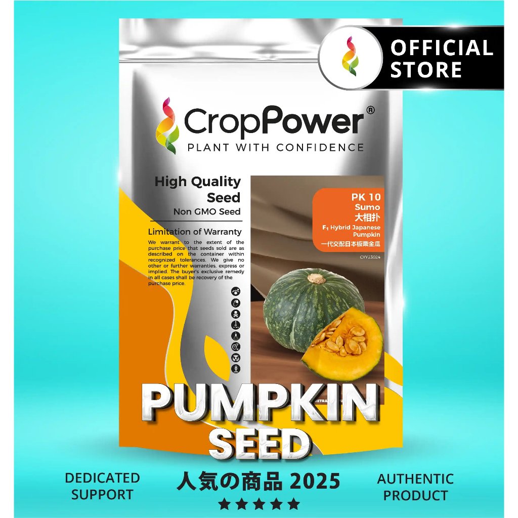 (100 GRAM) Biji Benih Labu Manis Sumo 大相扑 PK10 CROP POWER Pumpkin Seeds ...