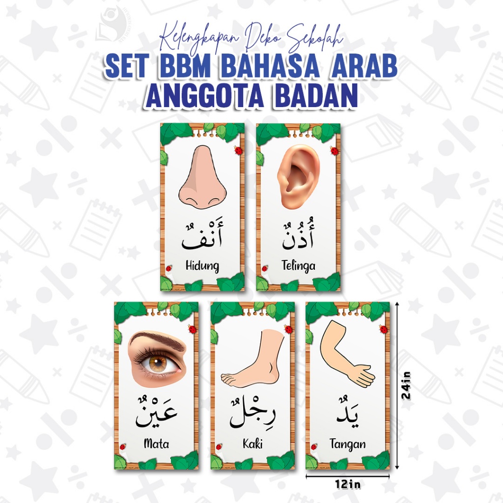 🌼1 DAY SHIP🌼 SET BBM BAHASA ARAB - NAMA ANGGOTA BADAN / BAHAN BANTU ...