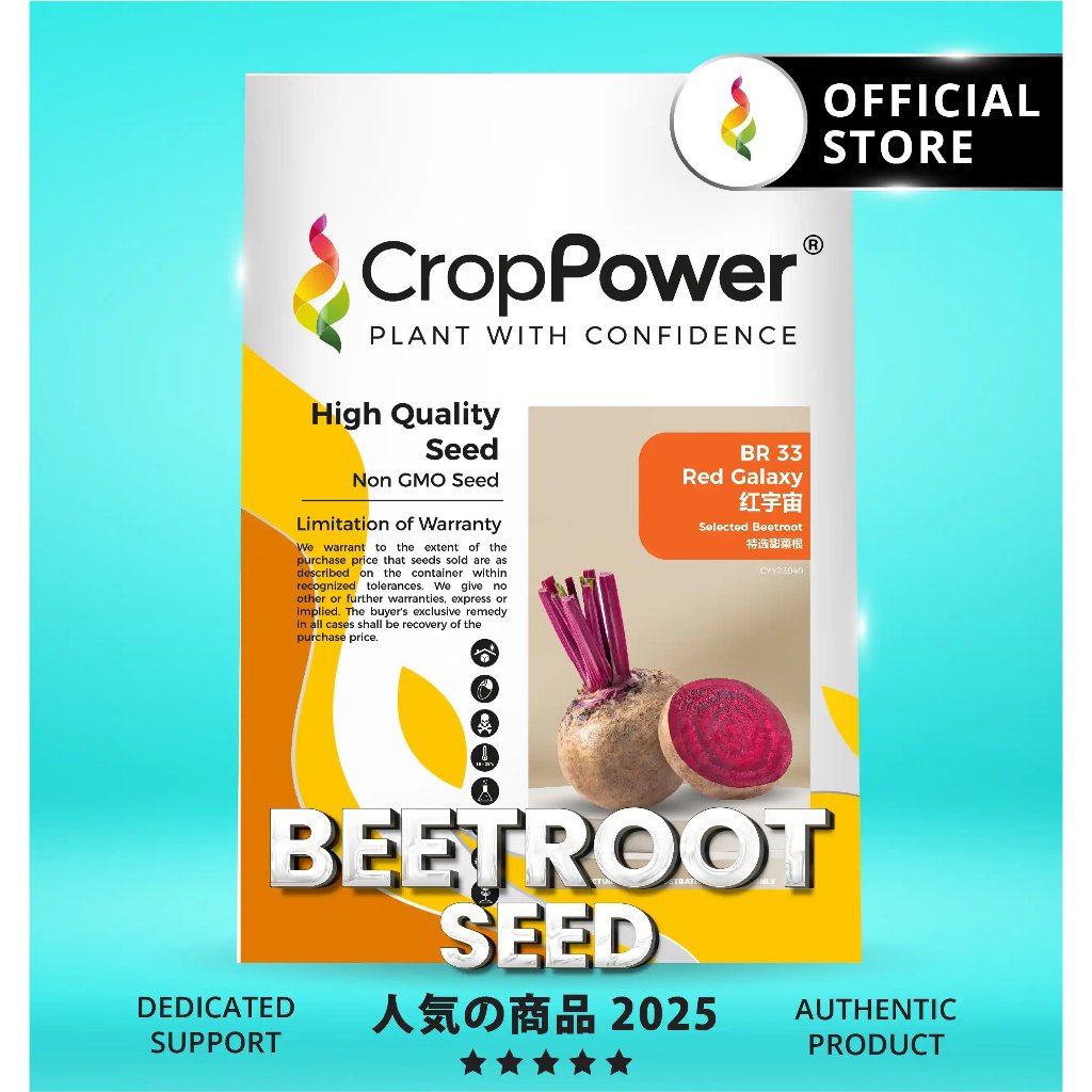 (1,000 SEEDS) Biji Benih Ubi Bit Merah Red Galaxy 红宇宙 BR33 CROP POWER ...