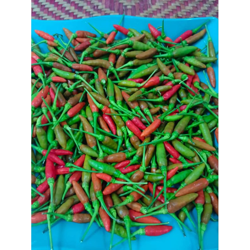 cili padi kampung/cabai melaka | Shopee Malaysia