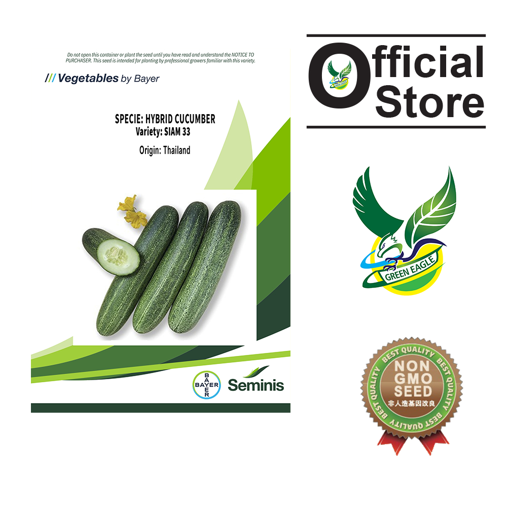 Bayer Seminis Hybrid Cucumber Siam 33 [20g] | Shopee Malaysia