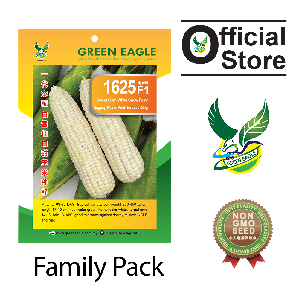 GE 1625 F1 Hybrid Sweet Corn White Snow Fairy seeds [5g] | Shopee Malaysia