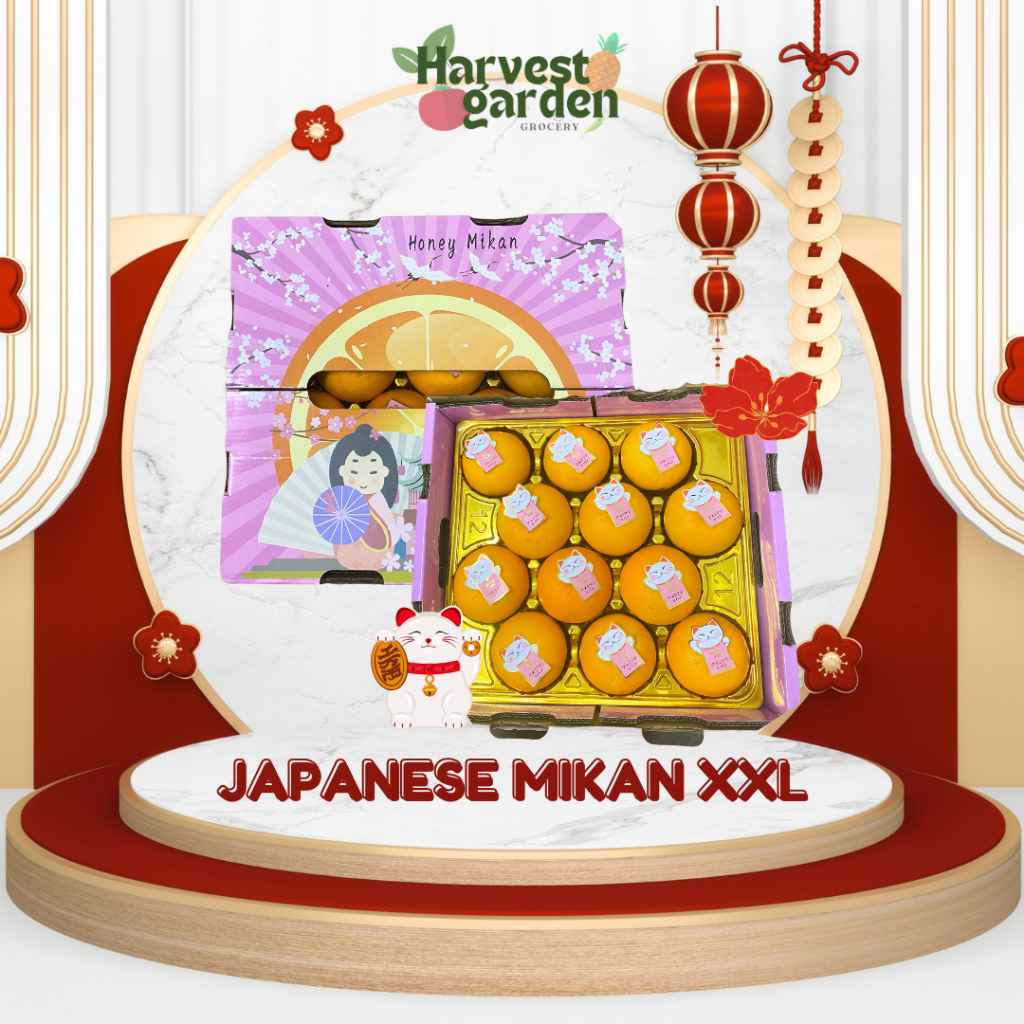 JAPANENSE SAKURA MIKAN MANDARIN FRUIT // 精选日本蜜柑礼盒 10S (XXL) | Shopee ...