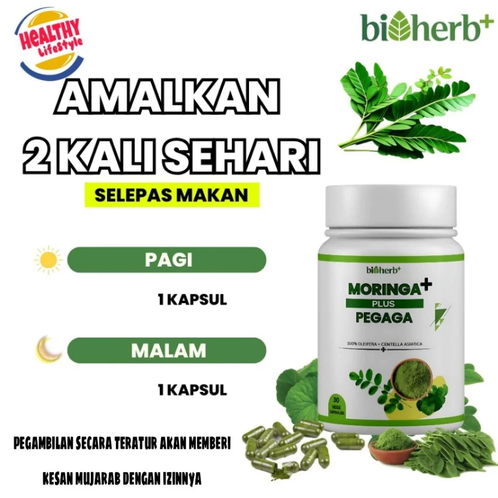 Bioherb Moringa Pegaga Plus Original HQ For Health Benefits Halal Product | moringa Daun Kelor ...