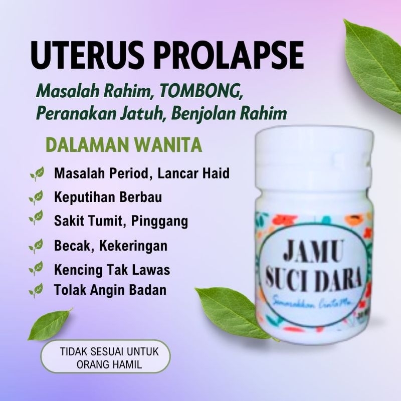 For Prolapse Uterus, Kecutkan Rahim Bengkak, Naikkan Peranakan, Rahim ...