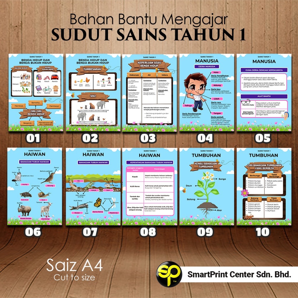 BBM SAINS BAHAN BANTU MENGAJAR SUDUT SAINS TAHUN 1 SAIZ A4 (LOOSE ITEM ...