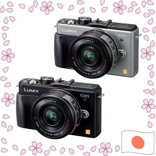 Panasonic Mirrorless Interchangeable Lens Camera Lumix GX1 Lens Kit with Motorized Zoom Lens DMC ...