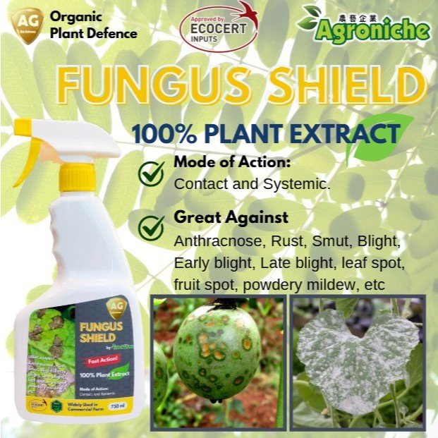 750ML Fungus Shield ready to spray,Anthracnose, Rust, Smut, Blight ...