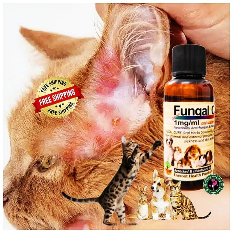 Ubat Anti-Fungus & Anti-Parasites Oral Suspension For Pets Dog/Cat ...