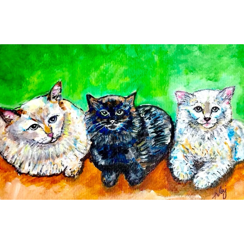 Cat Postcard The Three Musketeers Stock Clearance buy 1 free 1 | Shopee ...