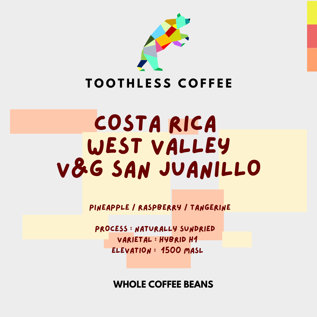 Costa Rica V&G San Juanillo 🐻 TOOTHLESS COFFEE | Shopee Malaysia