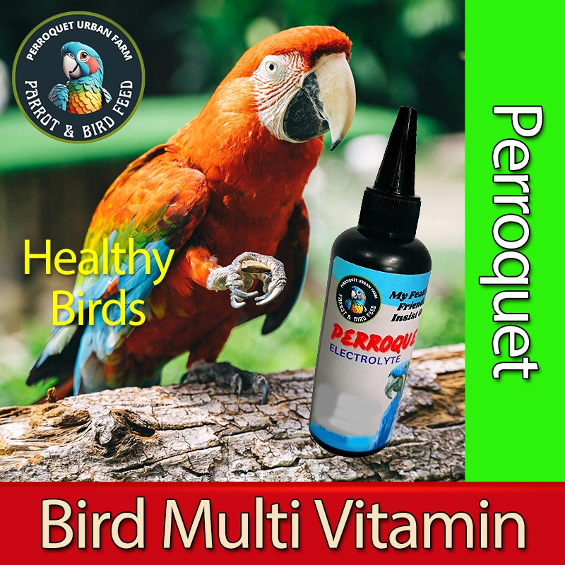 Perroquet Parrot Bird Multi Vitamins Ammonia Electrolytes Probiotics ...