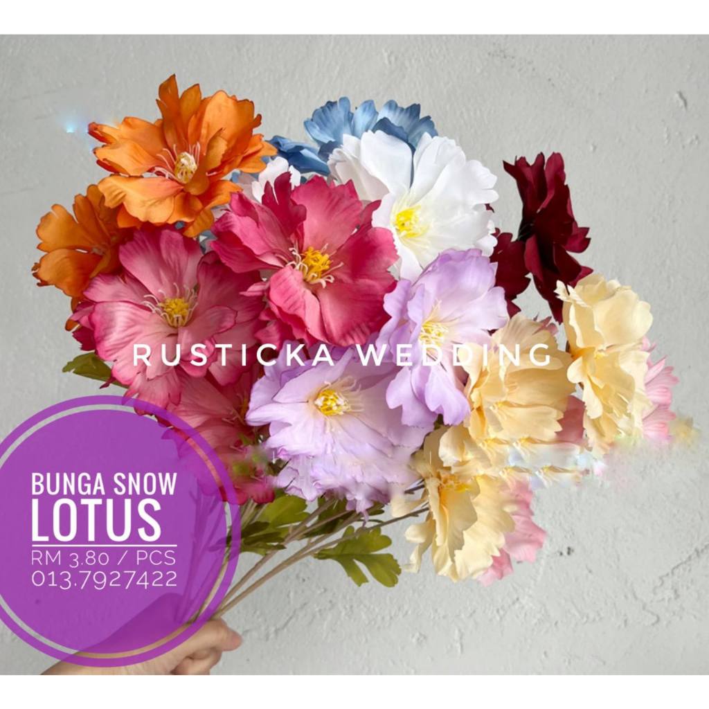 Bunga Snow Lotus Flower Snow Lotus | Shopee Malaysia