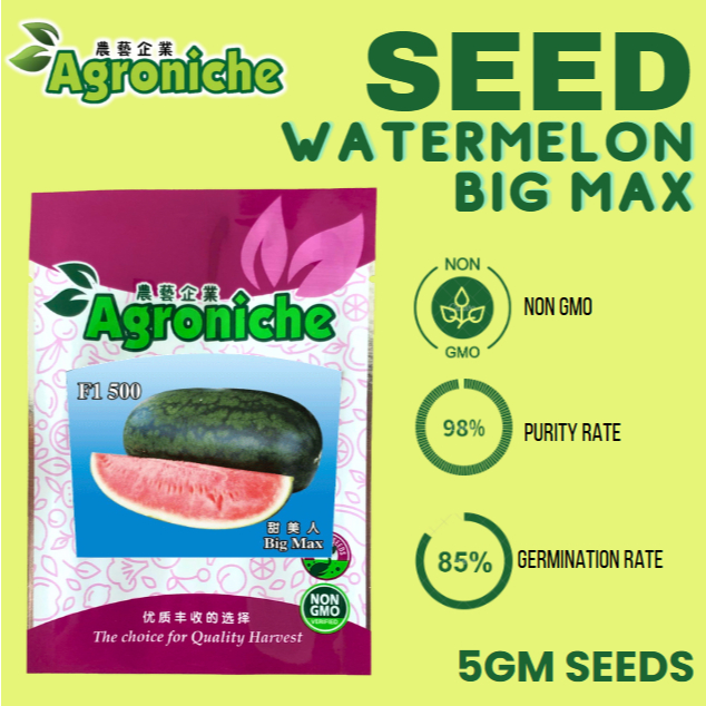 5 GM Biji Benih Tembikai Besar Hitam / BUKAN GMO / F1 500 Agroniche ...