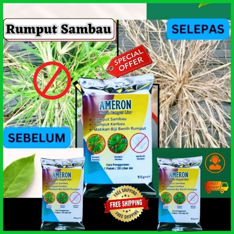Ameron Ametryn Racun Rumput Sambau Paling Berkesan Power Racun Rumput ...