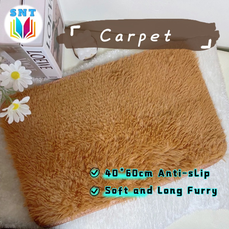 Carpet Bulu ( CP-4060) Floor Mat Door Mat Karpet Bulu Soft Furry Carpet ...