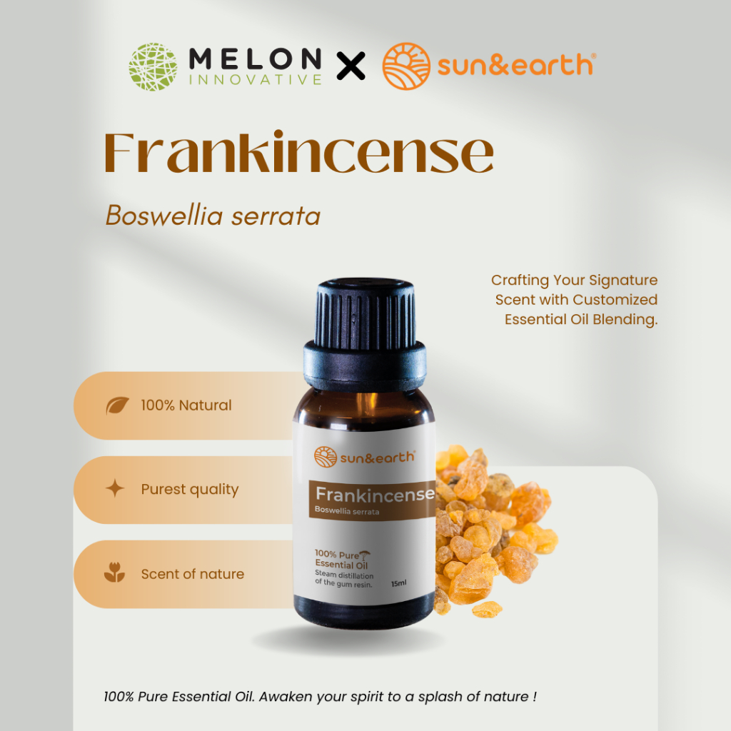 Sun & Earth® Frankincense Pure Essential Oil (15ml) | Shopee Malaysia