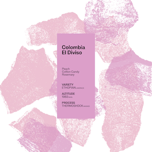 El Diviso FILTER - Kopenhagen Coffee Single Origin Bean | Specialty ...