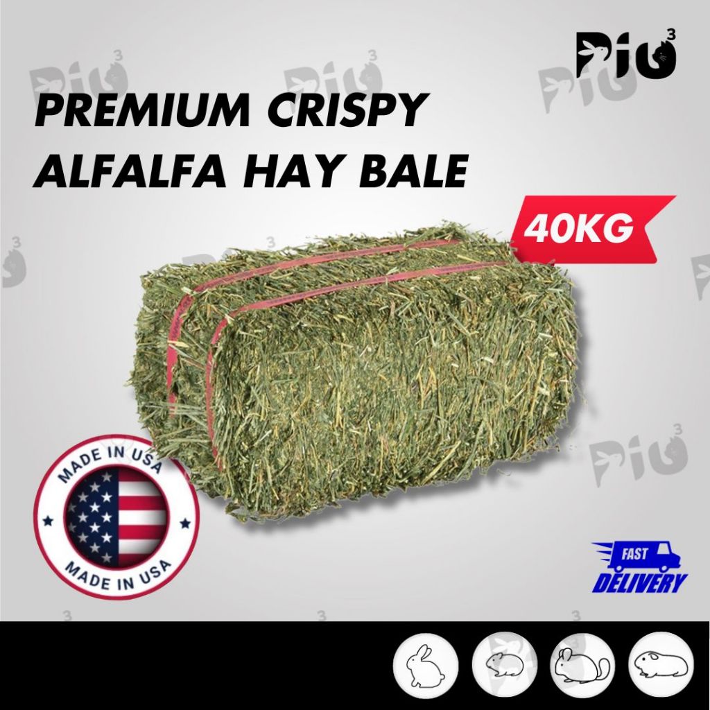 [24HR SHIP] PREMIUM ALFALFA HAY BALE 40KG Imported Timothy Hay Lucerne ...