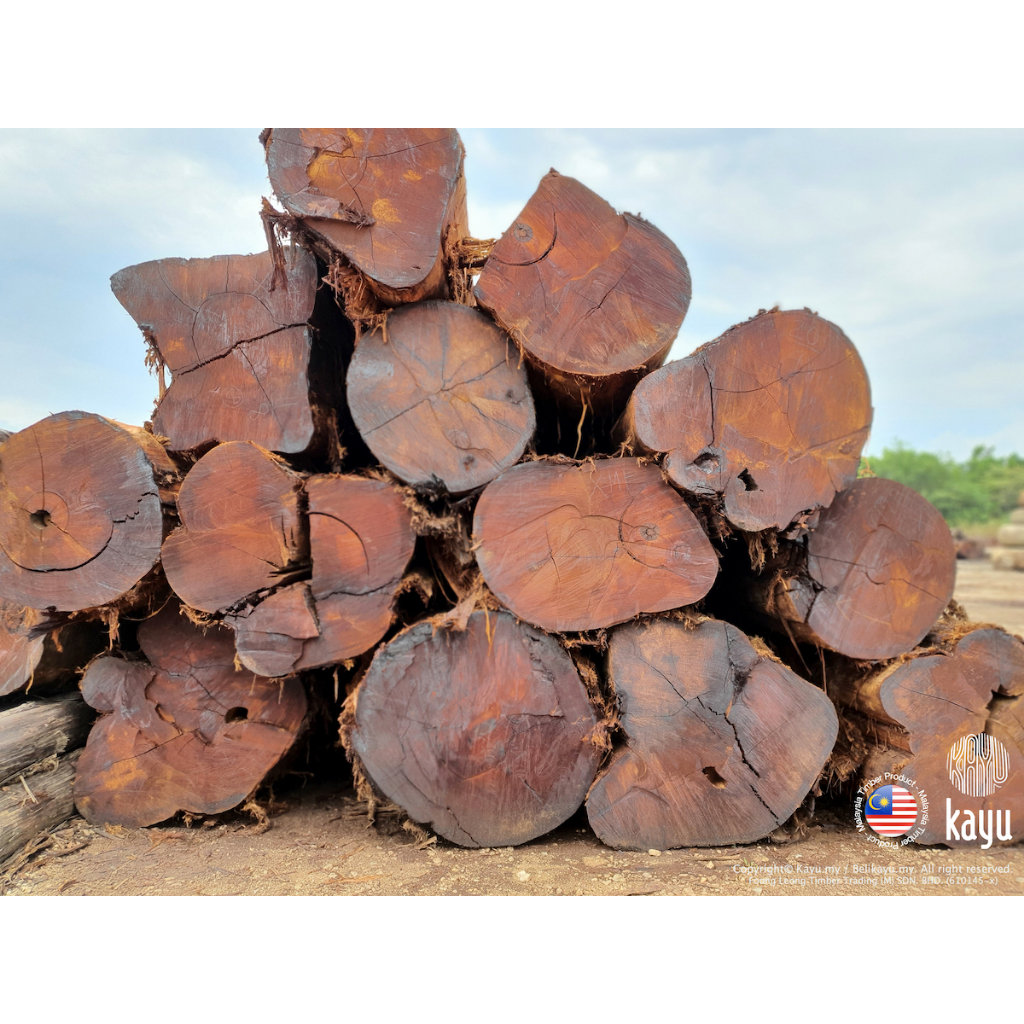 Kayu Chengal Solid Wood 1" x 2" (5 ft) | Shopee Malaysia