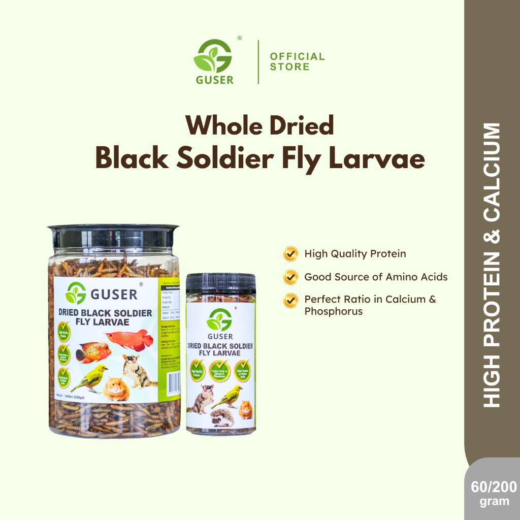 𝗚𝗨𝗦𝗘𝗥® Dried Black Soldier Fly Larvae (BSFL) | Mealworm Alternative ...