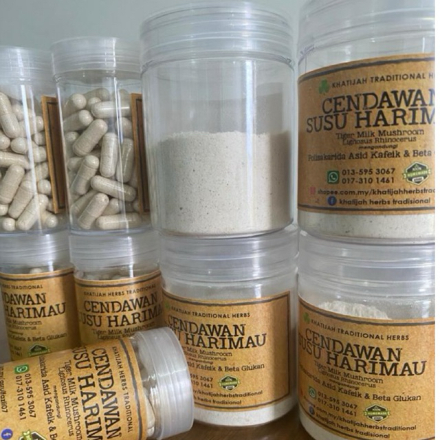 ☘️CENDAWAN SUSU HARIMAU/TIGER MILK MUSHROOM)(100BIJI RM25;450MG ...
