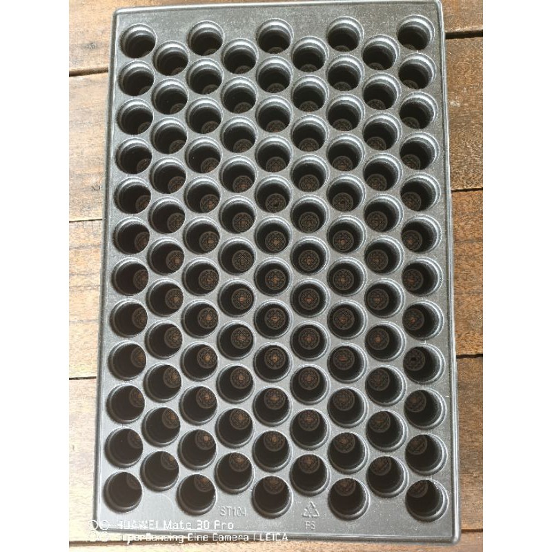 ( 1 box )104 Holes Seedling Tray Plastic Nursery Tray Plastic Bekas ...