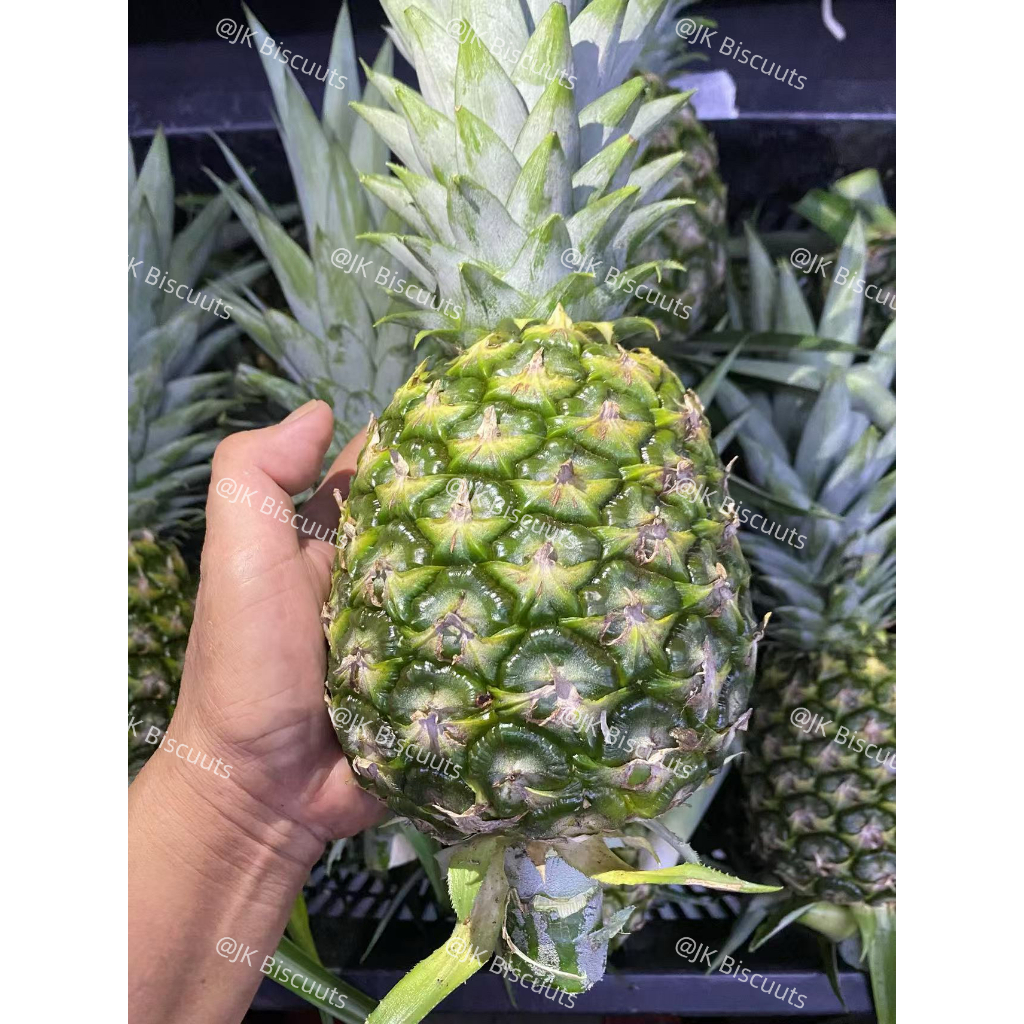Nenas MADU MD2 , Pineapple MADU MD2 , Fresh & Manis；新鲜甜美 蜜糖 黄梨 凤梨 MD2👍👍 ...