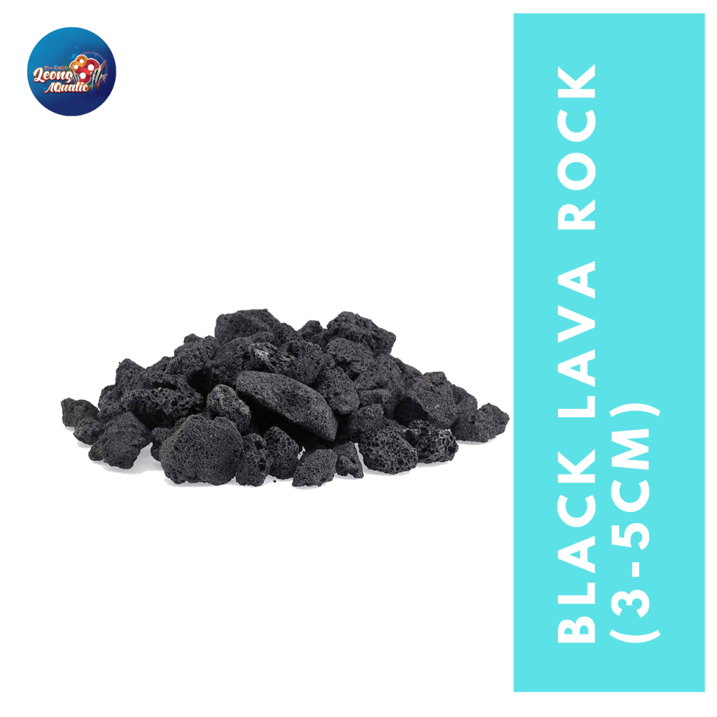 Black Lava Rock Stone (3CM-5CM+-) | Shopee Malaysia