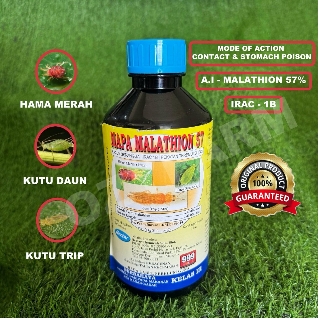 Rracun serangga mapa malathion 1L kutu daun hama merah kutu trip ...