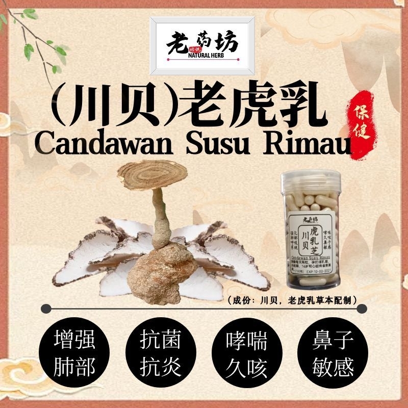 川贝老虎乳Cendawan Susu Rimau Tiger Milk Mushroom （100粒） | Shopee Malaysia